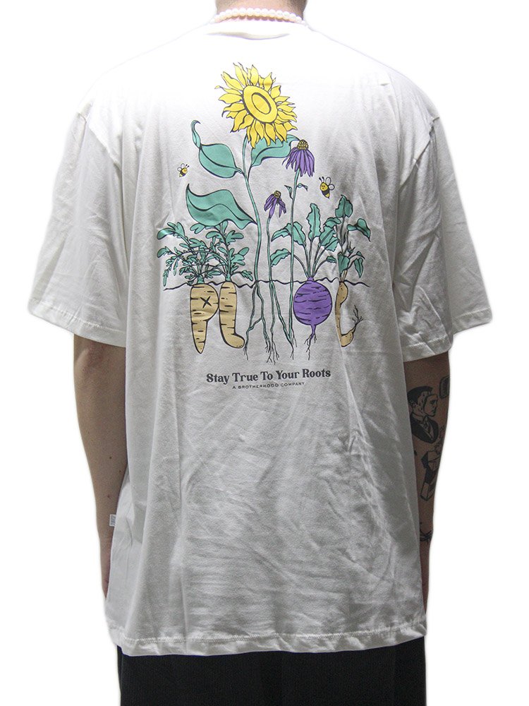 Camiseta Masculina Plano C Home Garden - Off White - Home | Session Store